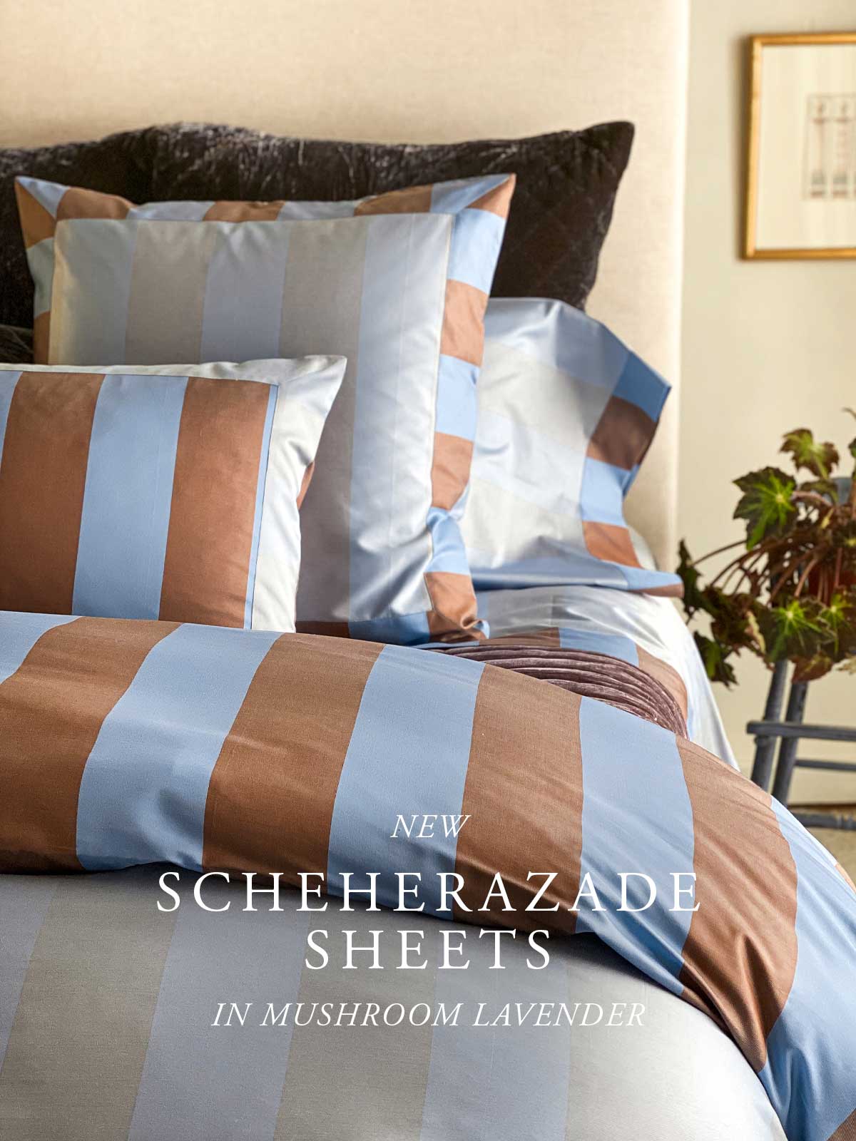 Shop The Newest Arrivals! | ANICHINI Luxury Bedding & Home Furnishings
