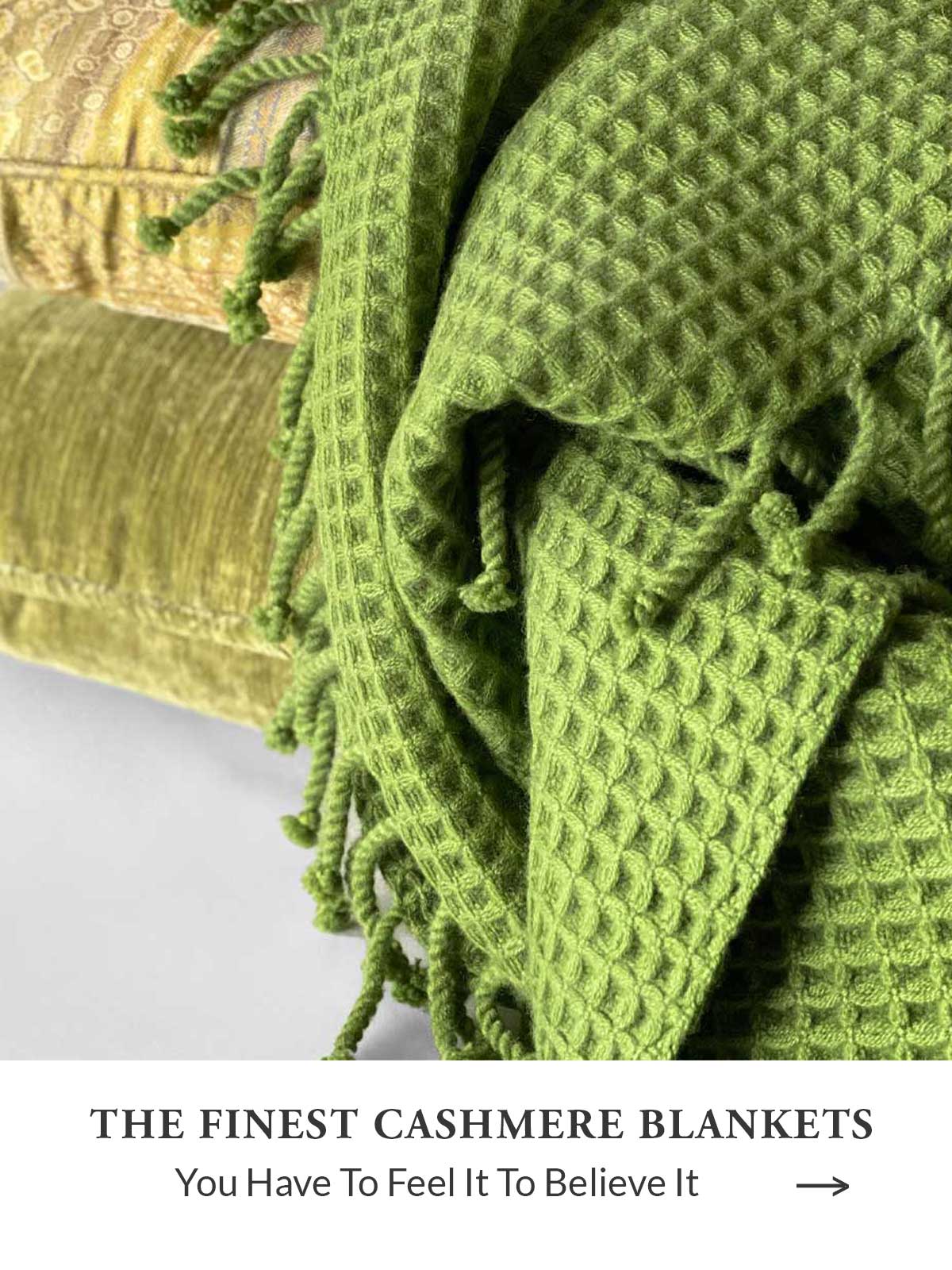 ANICHINI | Enlightened Luxury